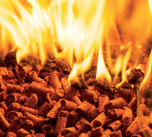 Visioning for the biomass sector. Fostering local development through ...